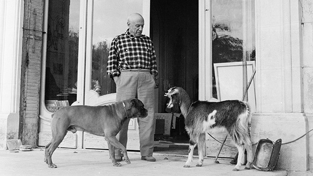 Pablo Picasso’s Stylistic Evolution As Shown Through His Family ...