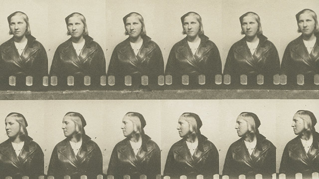 A Portrait of Picasso’s Golden Muse | Impressionist & Modern Art ...