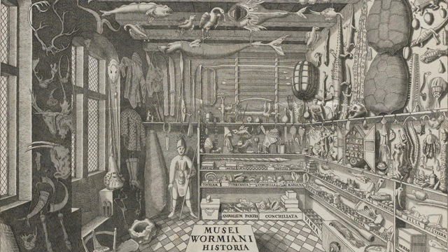 Collecting the Curious: The Odd Fascination of Wunderkammers | French ...