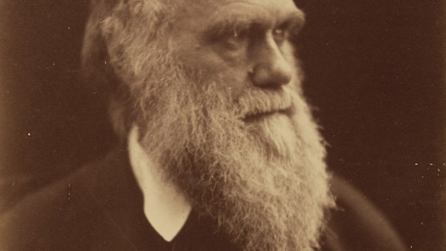 Thrilling Collection for Darwin Enthusiasts | Books & Manuscripts ...